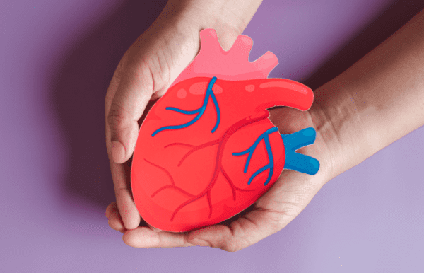 Why Are Young Adults Having Heart Attacks? The Hidden Causes Explained