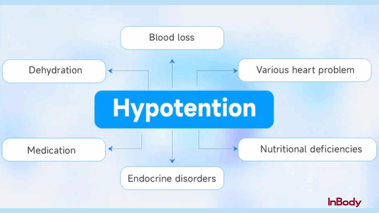 Understanding Blood Pressure: A Key to Better Health - Inbody Blog