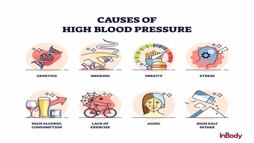 Understanding Blood Pressure: A Key to Better Health - Inbody Blog