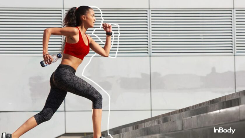 Athletes and Minerals: What You Lose in Sweat and How to Replenish It ...