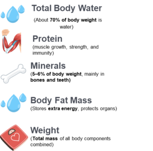 Body Composition Results Explained: A Simple Guide